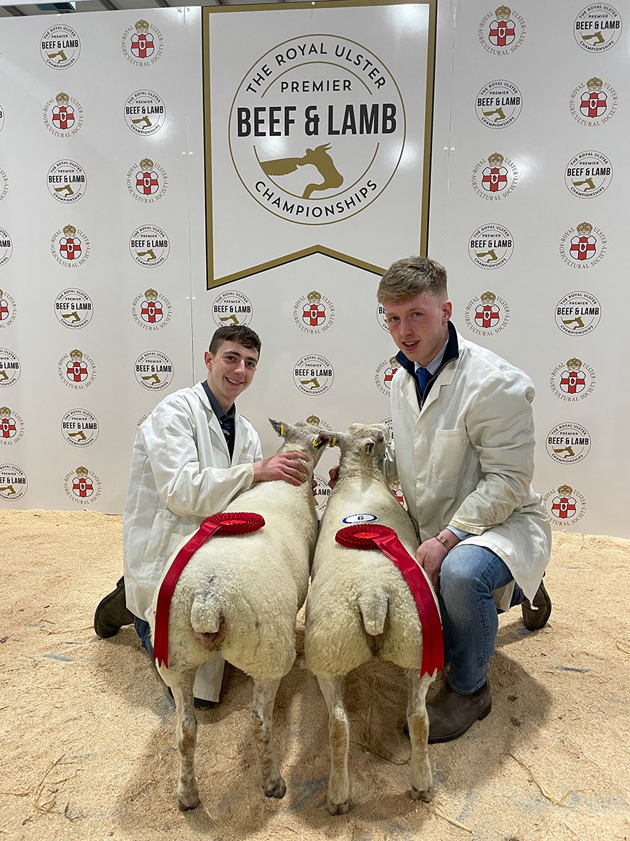 Beef and Lamb Championships Gallery | gallery | Royal Ulster Agricultural Society