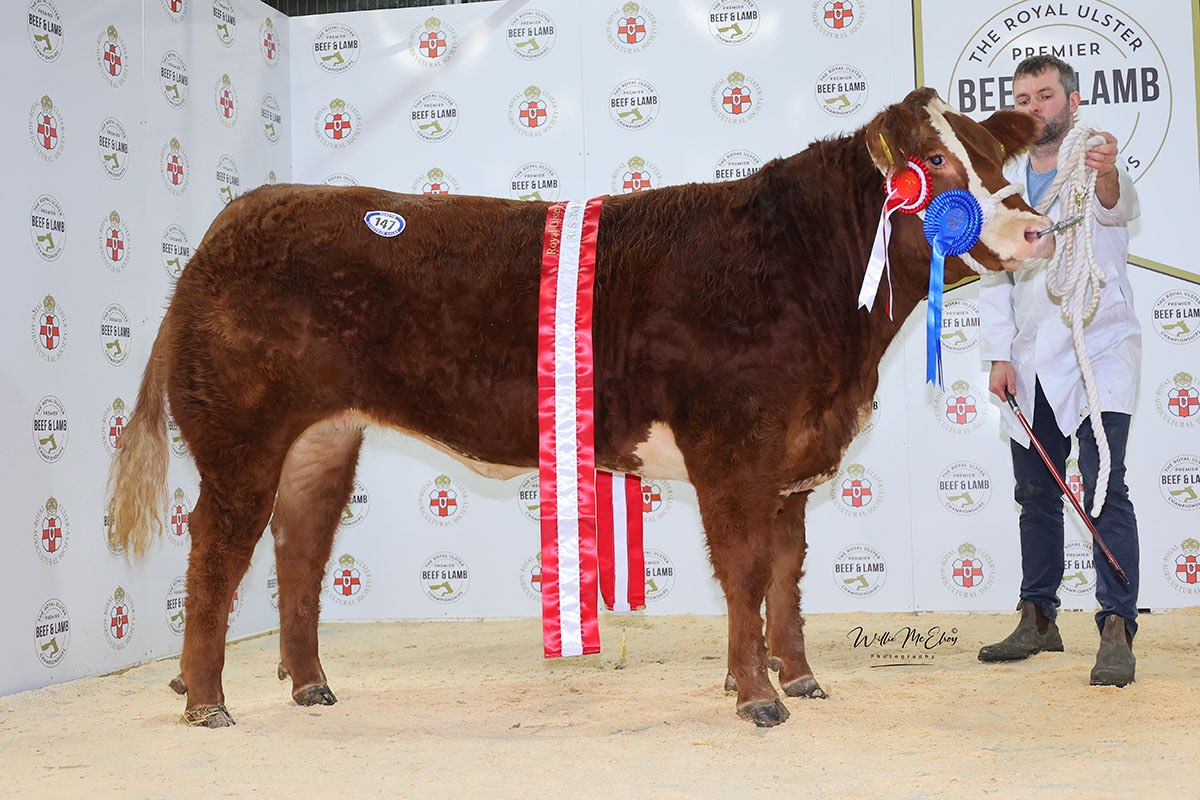 Beef and Lamb Championships Gallery | gallery | Royal Ulster ...