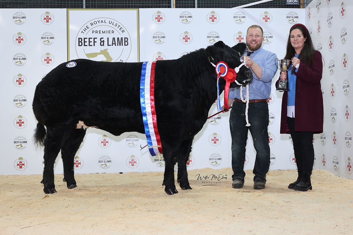 Beef and Lamb Championships Gallery | gallery | Royal Ulster ...