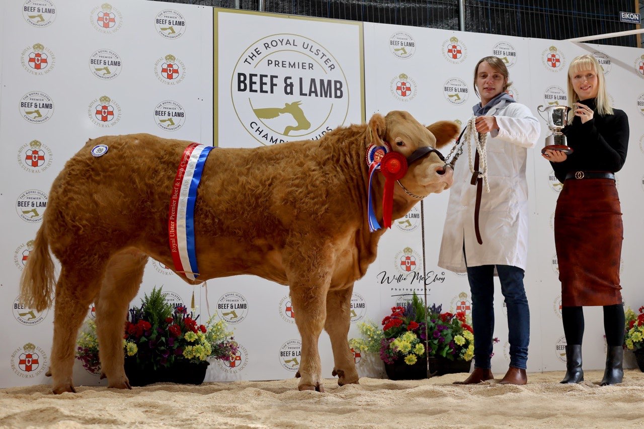 Beef and Lamb Championships Gallery | gallery | Royal Ulster ...