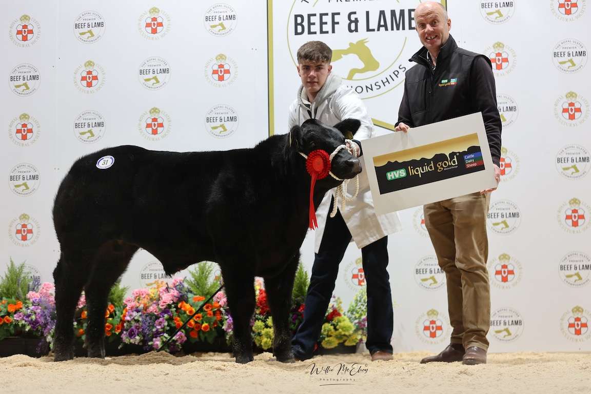 Beef and Lamb Championships Gallery | gallery | Royal Ulster ...