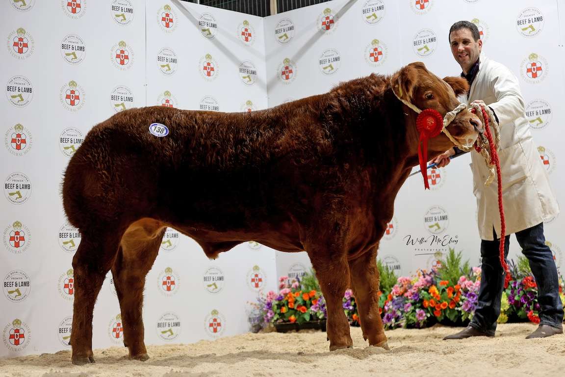 Beef and Lamb Championships Gallery | gallery | Royal Ulster ...