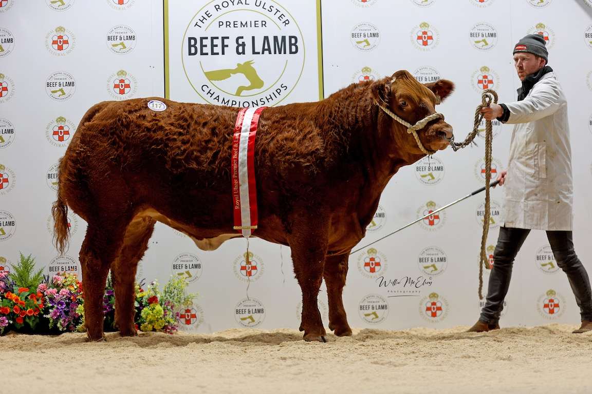 Beef and Lamb Championships Gallery | gallery | Royal Ulster ...