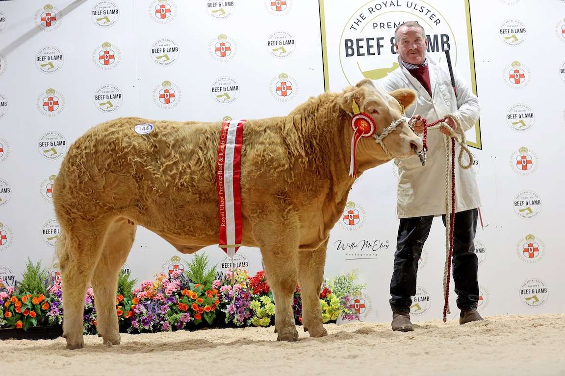 Beef and Lamb Championships Gallery | gallery | Royal Ulster ...