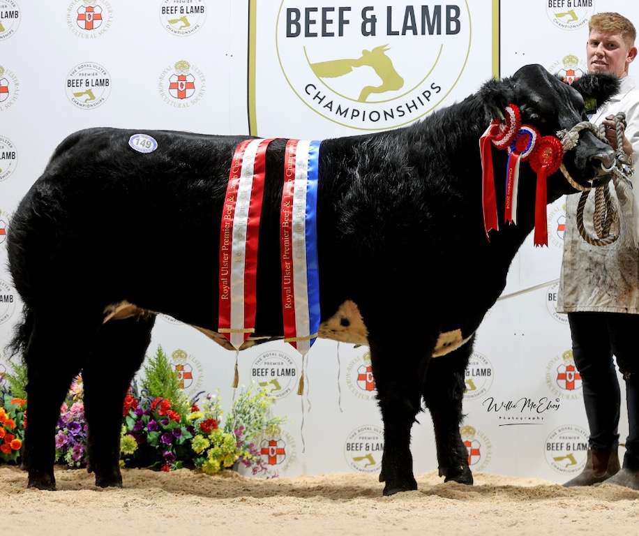Beef and Lamb Championships Gallery | gallery | Royal Ulster ...